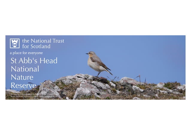 Collection Box Labels | PDF