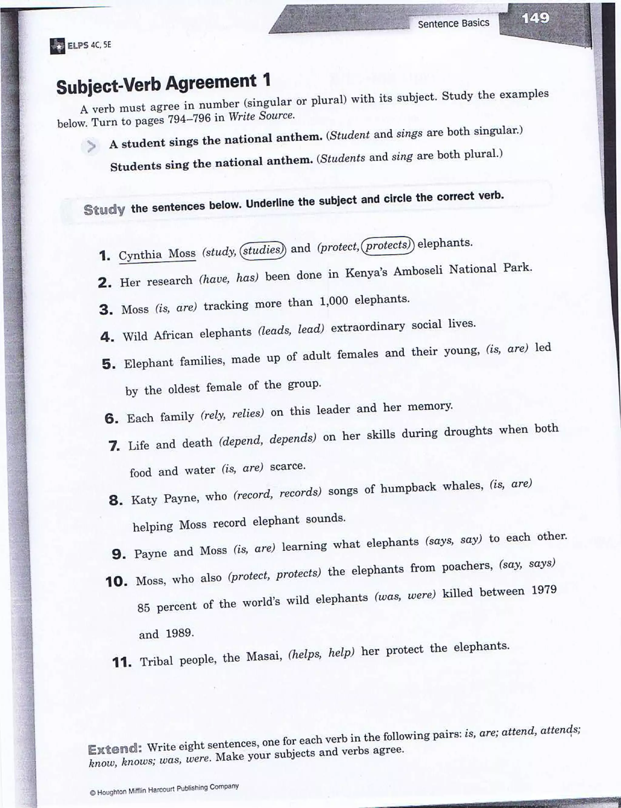 Subject/Verb Agreement Practice | PDF