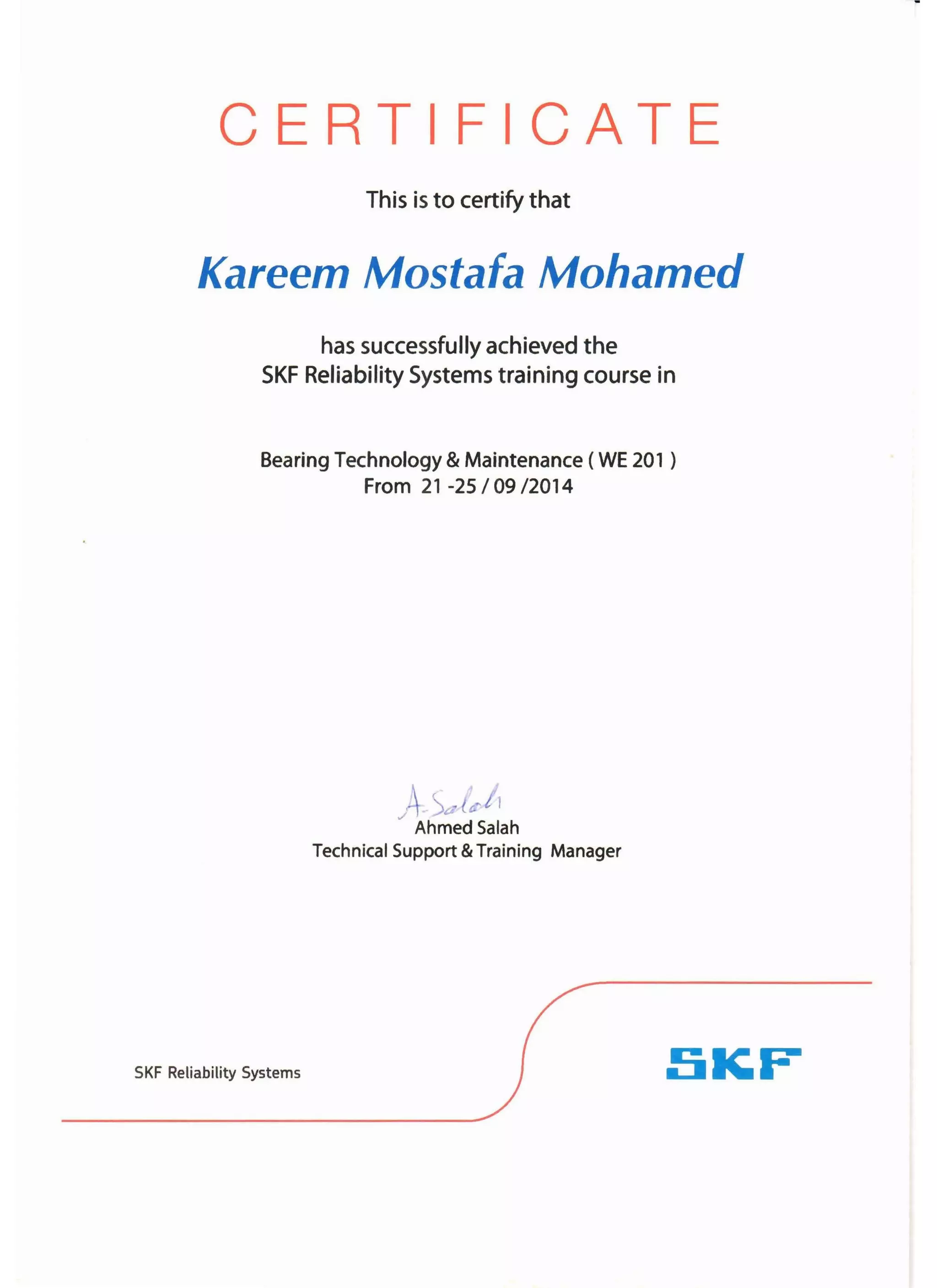 SKF Certificate | PDF