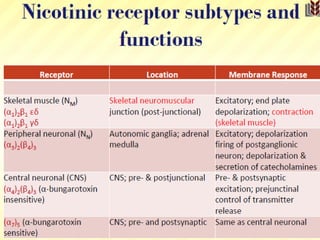 Receptors of automatic nervous system | PDF