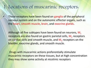 Receptors of automatic nervous system | PDF