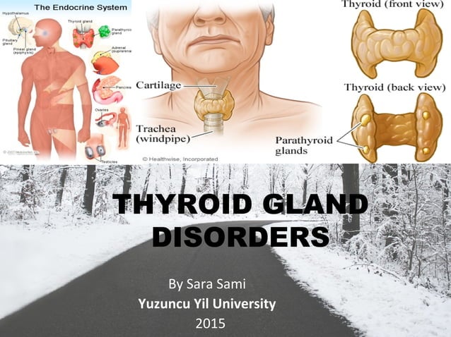 Thyroid gland disorder | PPT