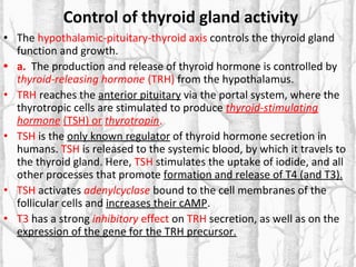 Thyroid gland disorder | PPT
