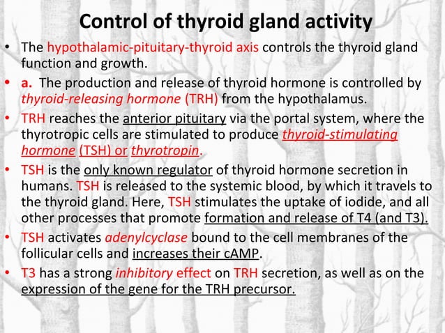 Thyroid gland disorder | PPT