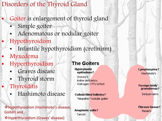 Thyroid gland disorder | PPT