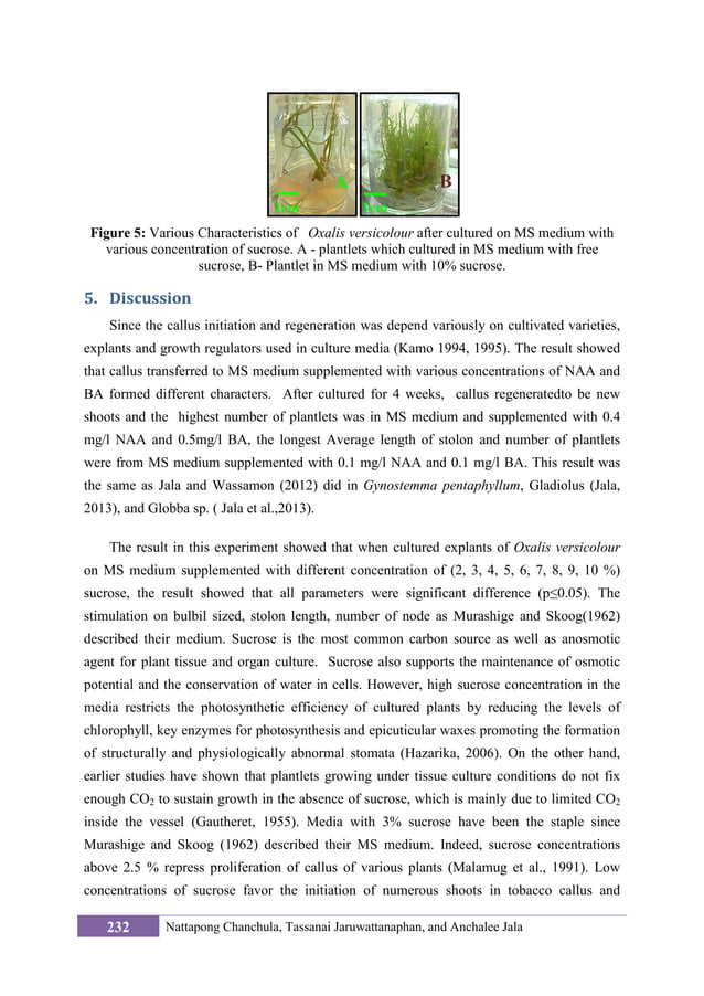 Differential Effects of Sucrose and Plant Growth Regulator on Shoot Multiplication and Bulbil ...