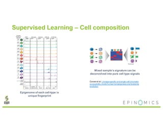 Building Genomic Data Processing and Machine Learning Workflows Using Apache Spark with Anupama ...