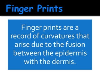 023 the fingerprint-forelock | PPT