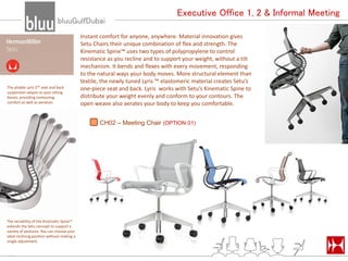 BluuGulf Dubai - Elysium Global - Presentation | PPT