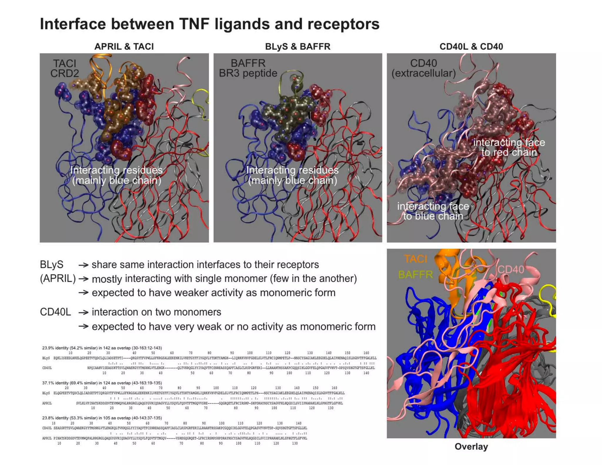Payload Attachment Chemistry and Payload Design | PDF