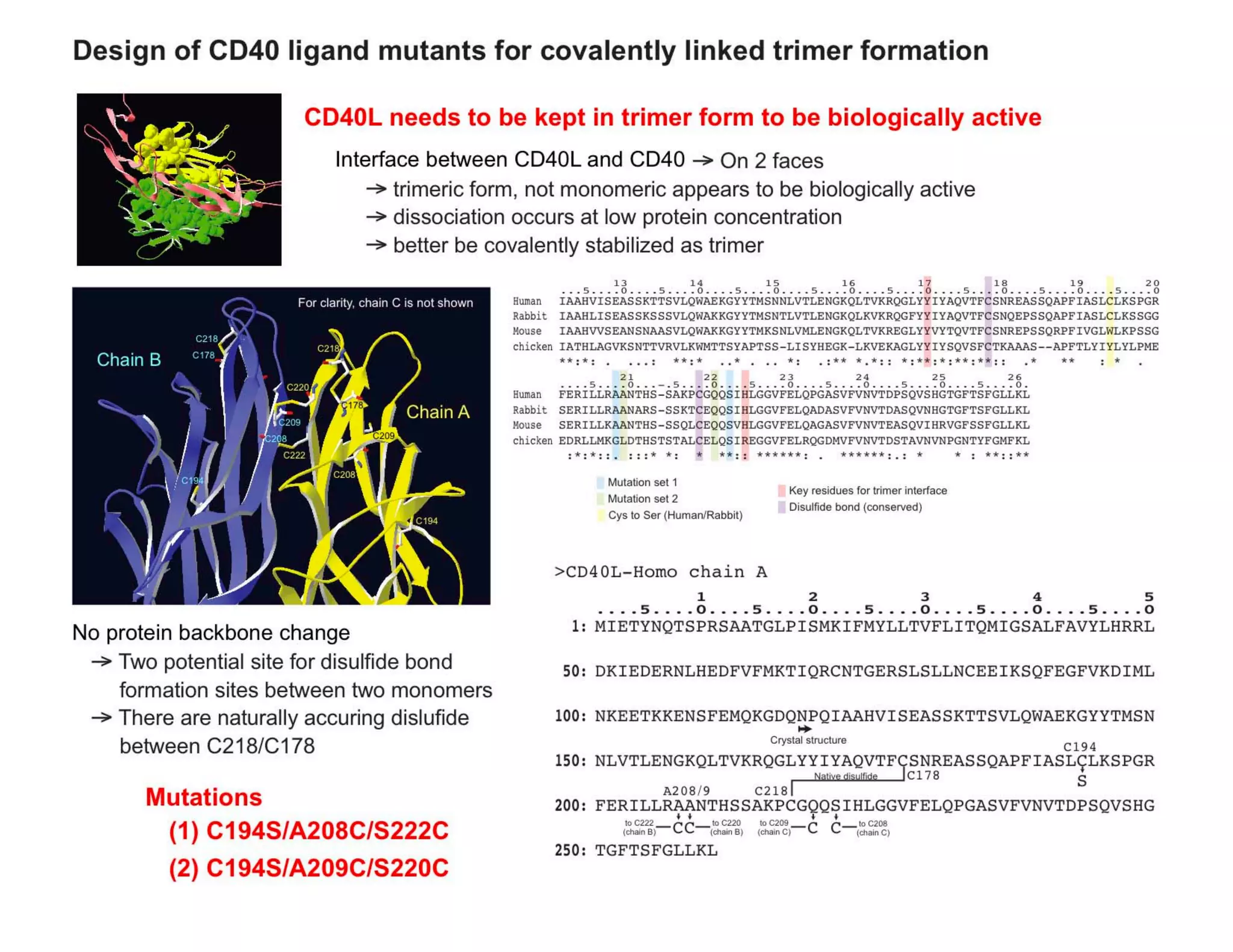 Payload Attachment Chemistry and Payload Design | PDF