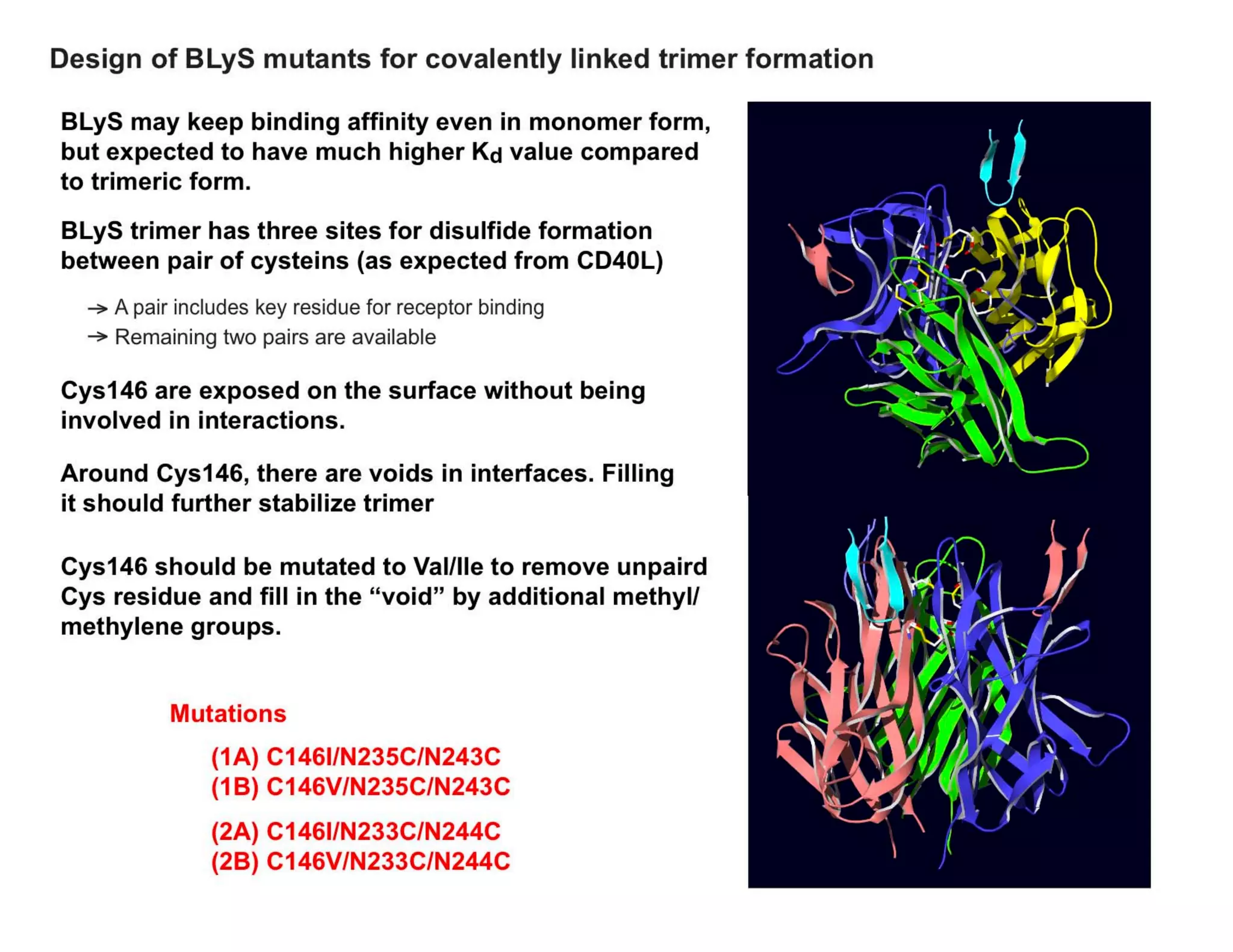 Payload Attachment Chemistry and Payload Design | PDF