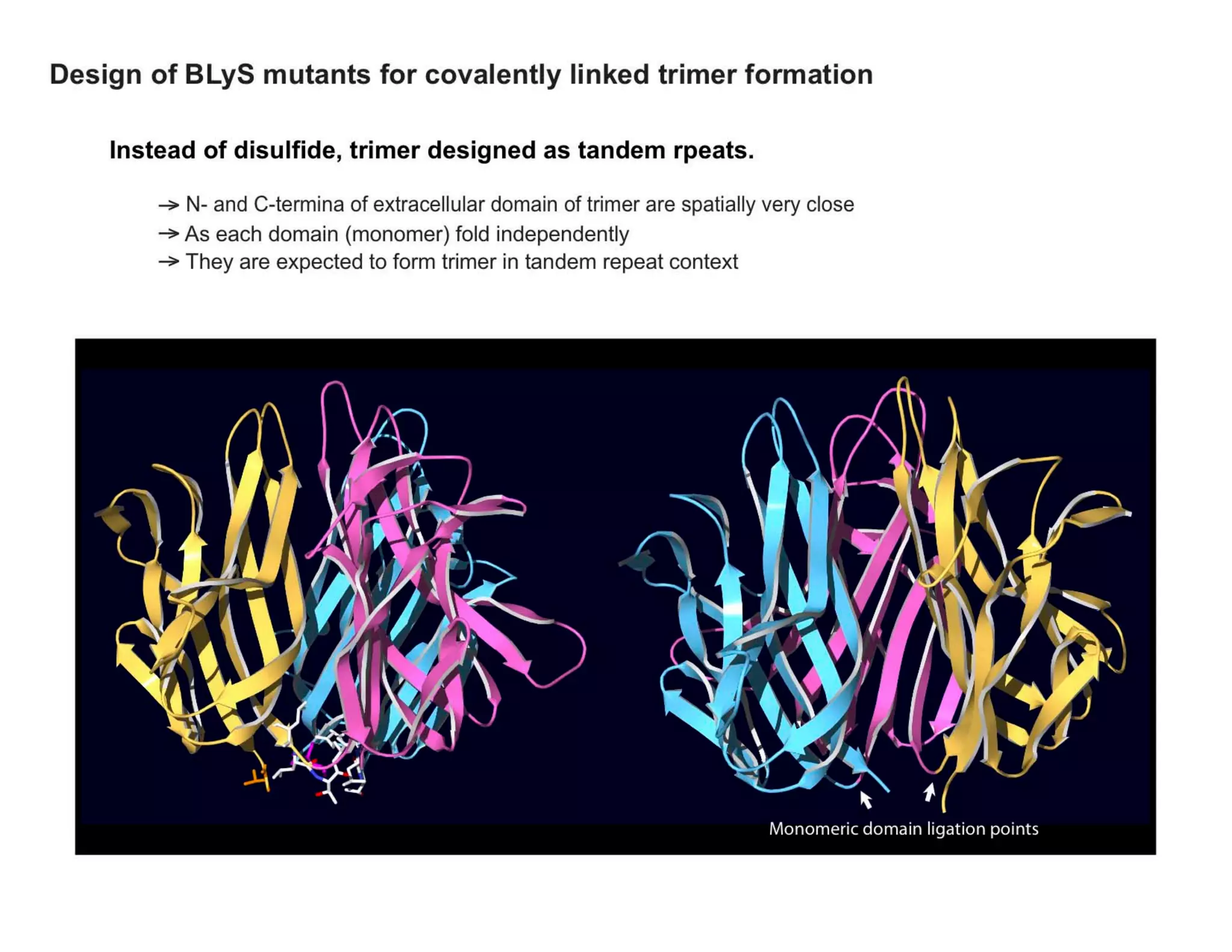 Payload Attachment Chemistry and Payload Design | PDF