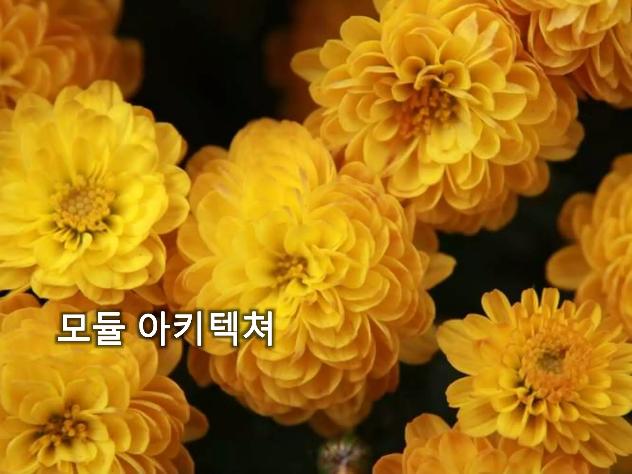 025 j boss_eap7_architecture_pub | PPTX