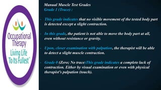 Occupational Therapy Manual Muscle Testing and Grading | PPTX