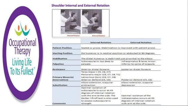 Occupational Therapy Manual Muscle Testing and Grading | PPTX
