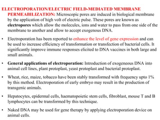 Gene transfer technology. | PPT