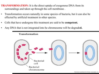 Gene transfer technology. | PPT