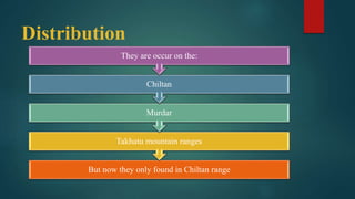 026,Kanwal Nisa,Z00-530,PPt (1).pptx