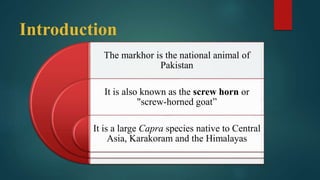 026,Kanwal Nisa,Z00-530,PPt (1).pptx