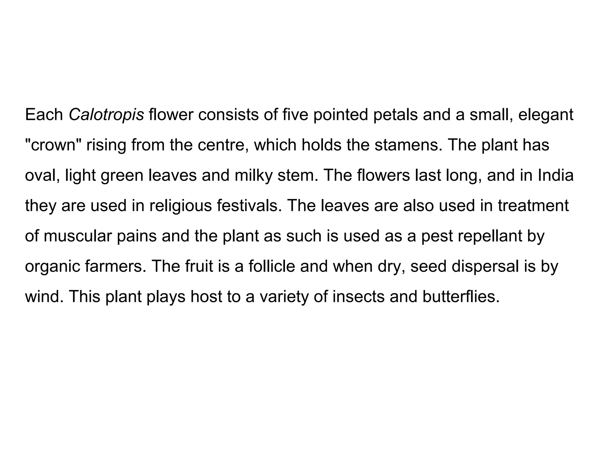 026 symmetry in calotropis | PPT