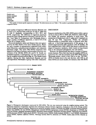 Gutell 027.faseb.j.1993.07.0223 | Biological Sciences | Science