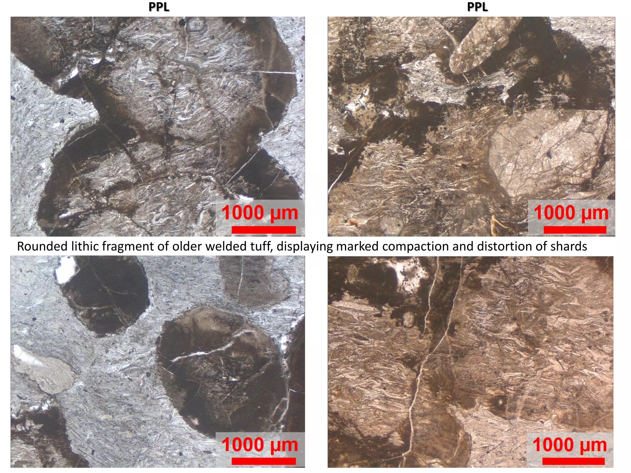 Some Microscopic features of Volcaniclastic Rocks in Jurong Formation ...