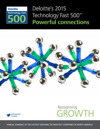 Technology-Fast-500-Winners-Brochure.PDF