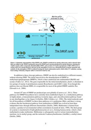 Research Project Done pdf | PDF