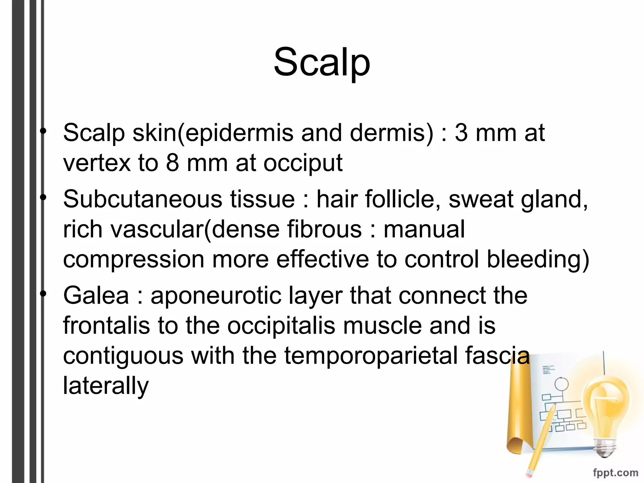 029 Incision and closure | PPT