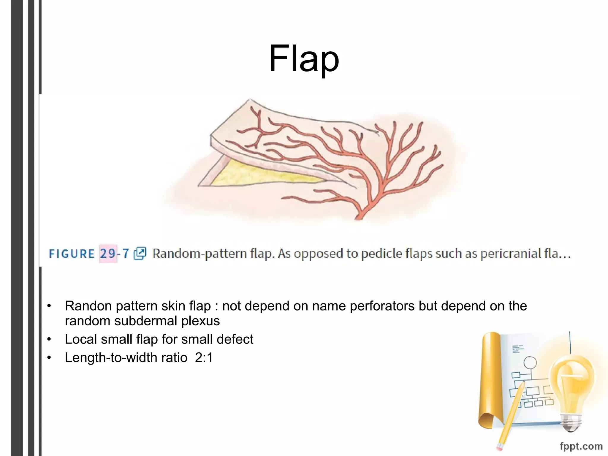 029 Incision and closure | PPT