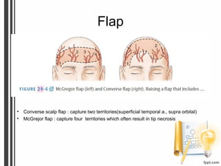 029 Incision and closure | PPT
