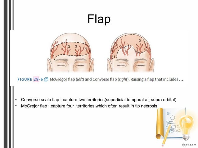 029 Incision and closure | PPT