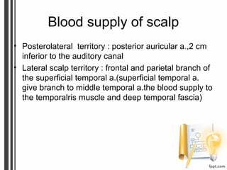 029 Incision and closure | PPT