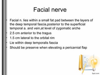 029 Incision and closure | PPT