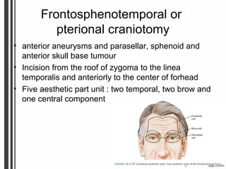 029 Incision and closure | PPT