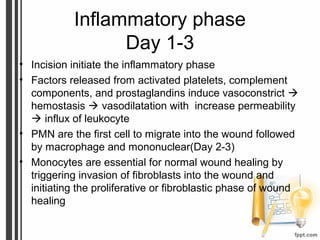 029 Incision and closure | PPT