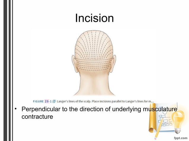 029 Incision and closure | PPT
