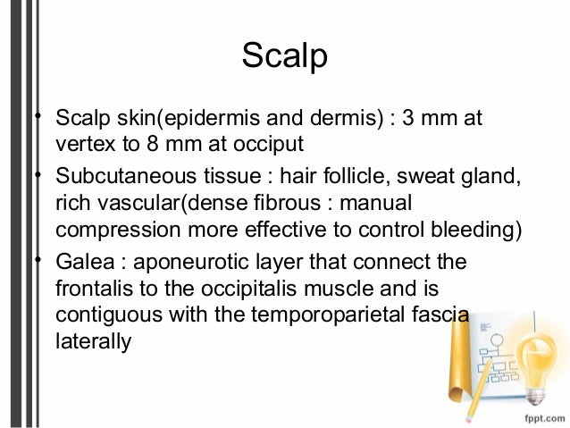 029 Incision and closure