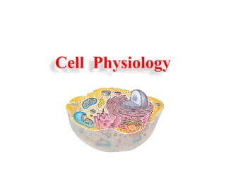 02 a. Cell Physiology.pptx physiology for nurse | PPT