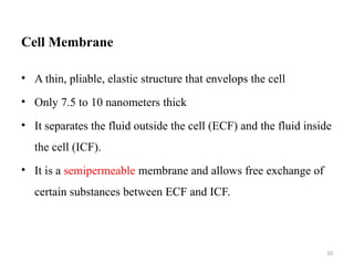 02 a. Cell Physiology.pptx physiology for nurse | PPTX