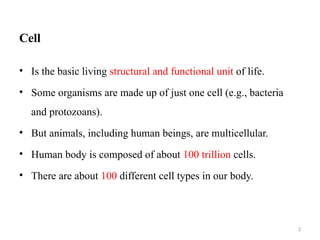 02 a. Cell Physiology.pptx physiology for nurse | PPTX