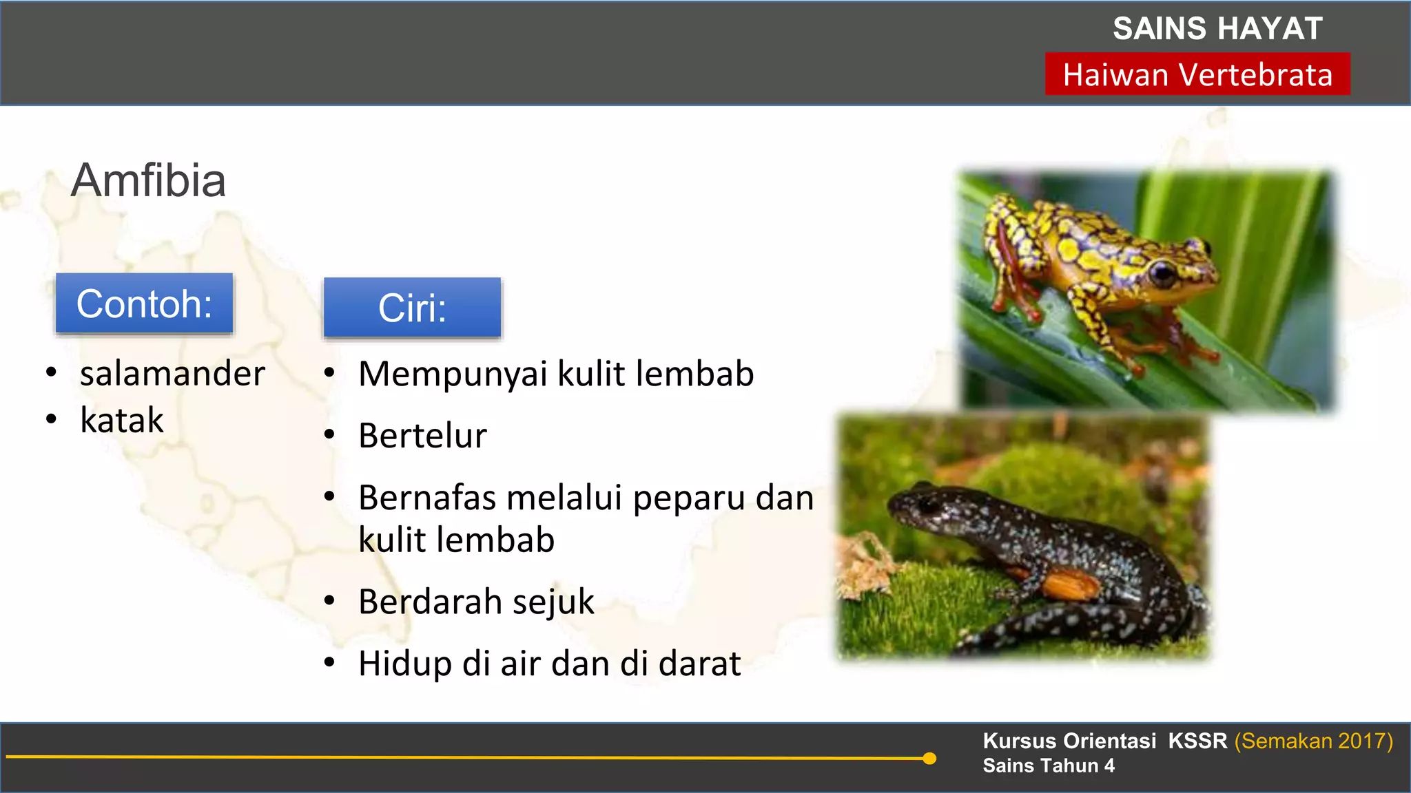 02a- Haiwan Vertebrata.pptx