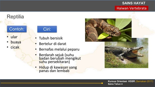 02a- Haiwan Vertebrata.pptx
