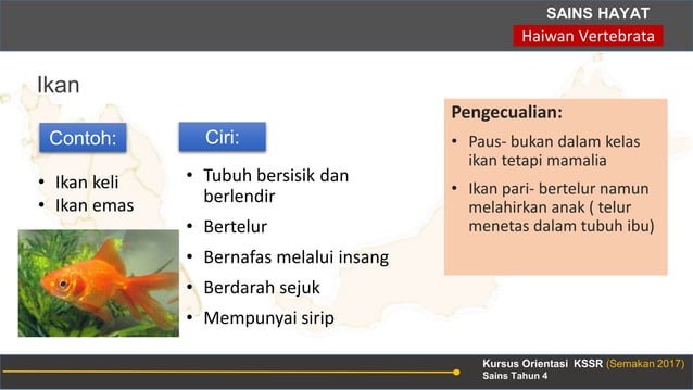 02a- Haiwan Vertebrata.pptx