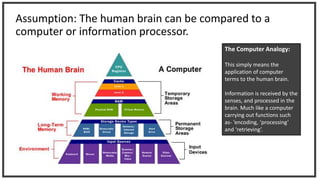 Psychological approaches and assumptions | PPTX