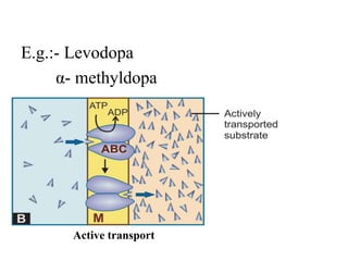 drug transport mechanisms | PPTX