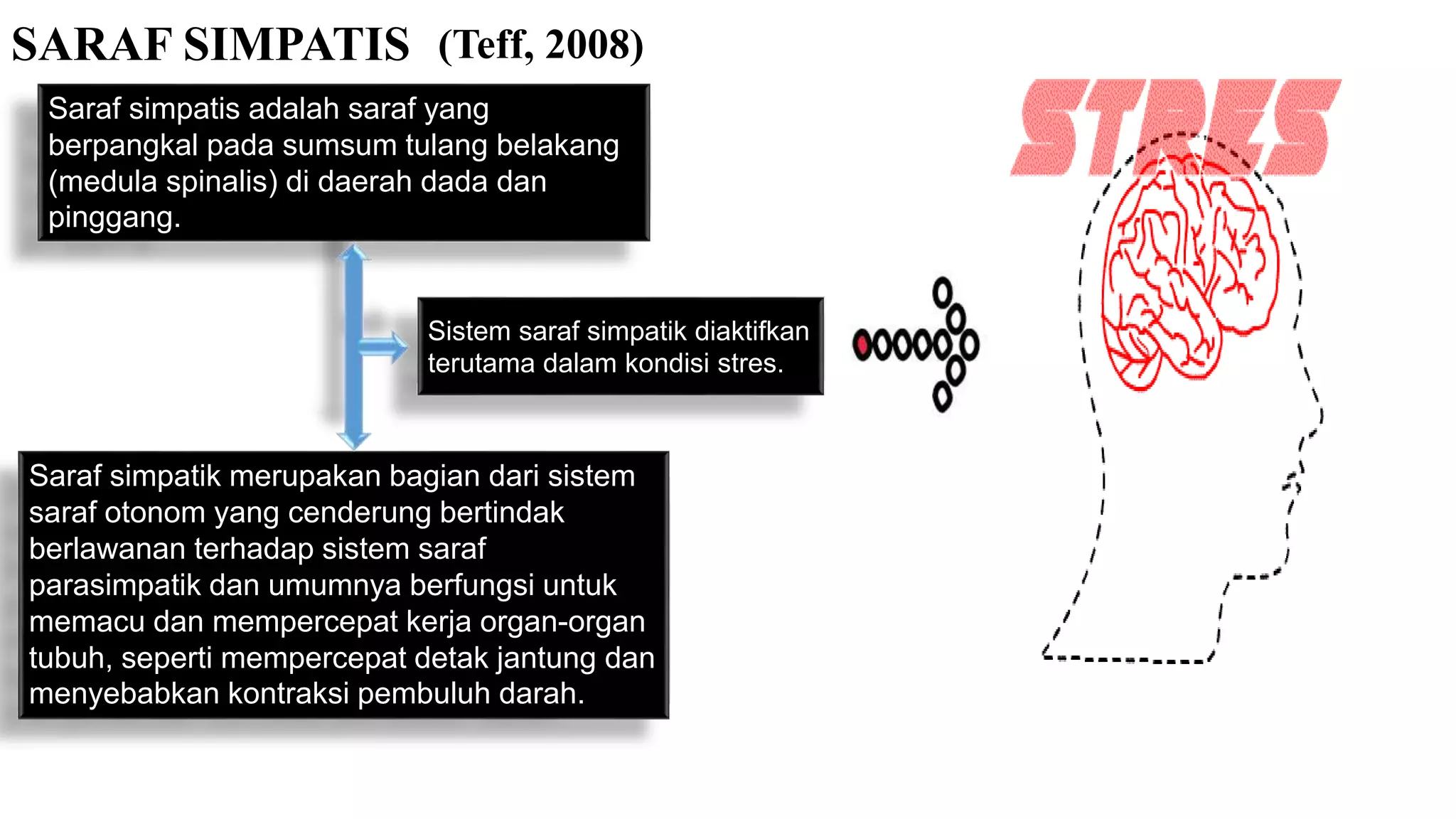sistem saraf otonom perifer | PPTX