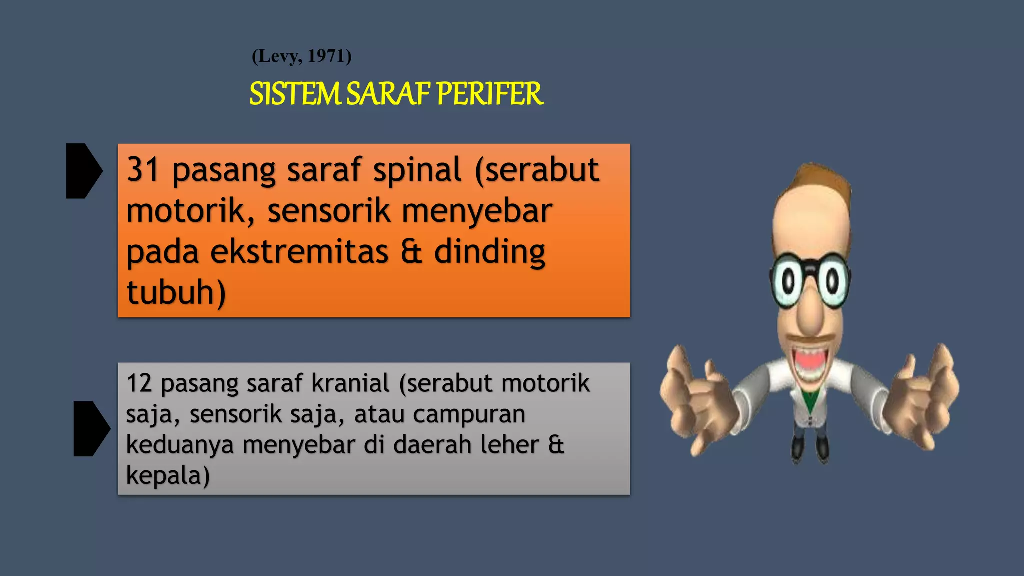 sistem saraf otonom perifer | PPTX