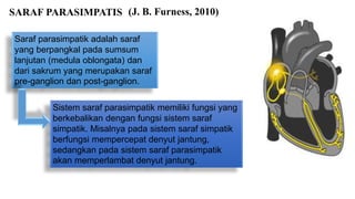 sistem saraf otonom perifer | PPTX